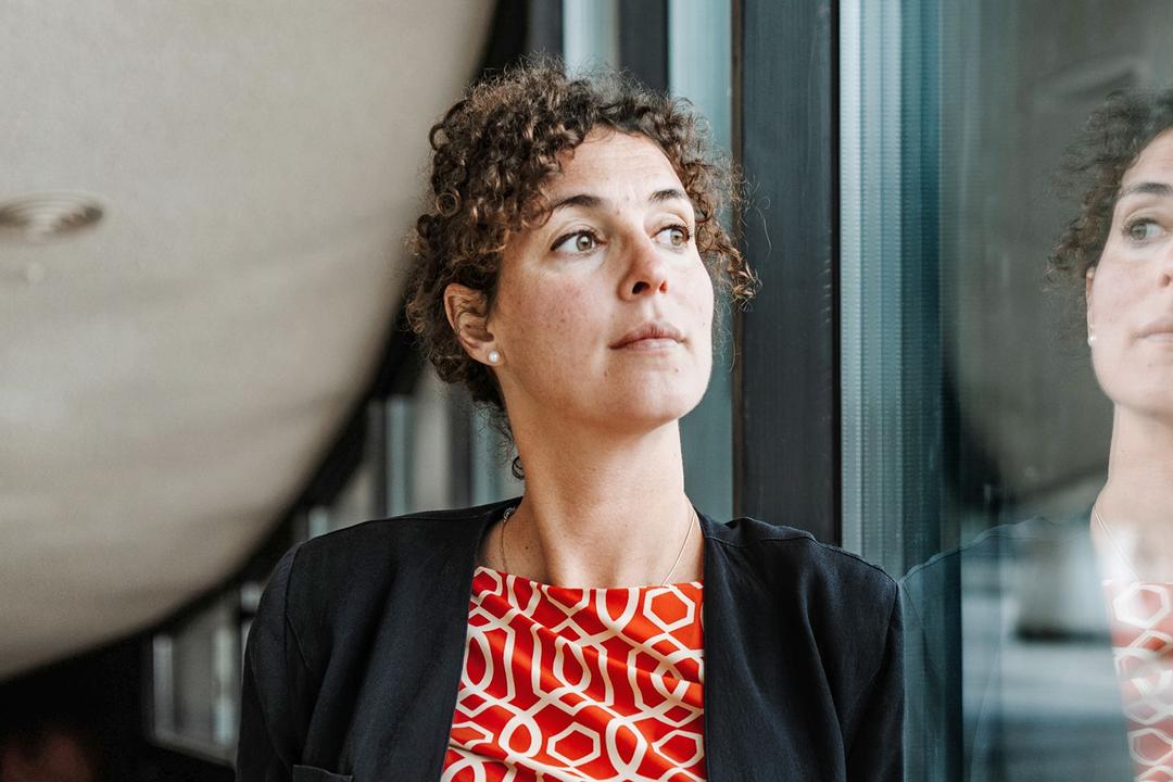 Milei und Musk machen nichts Neues | JACOBIN Magazin